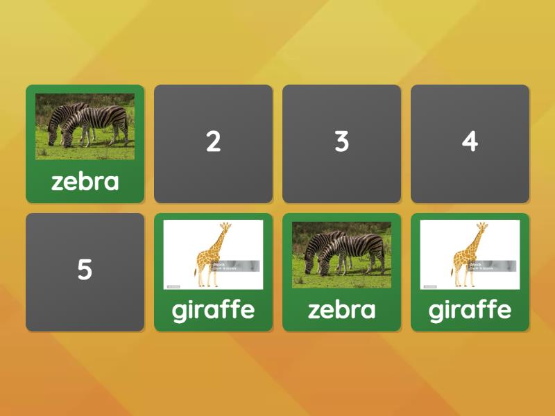 Science Grade 2 - Matching pairs