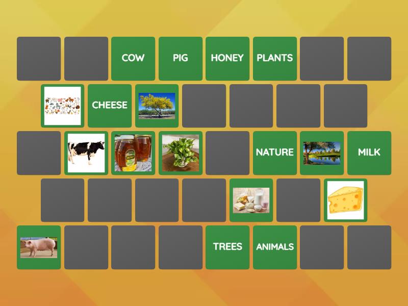 WHERE DOES OUR FOOD COME FROM? - Matching pairs