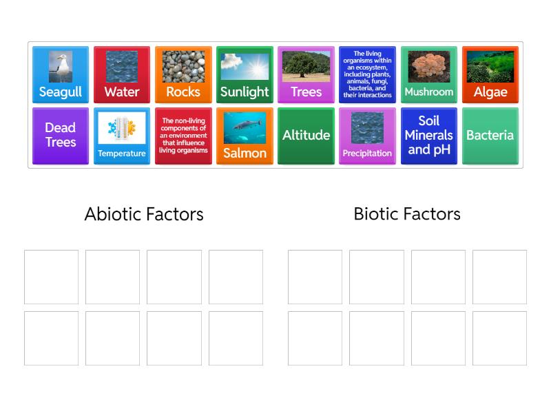 Biotic vs. Abiotic Factors - Group sort