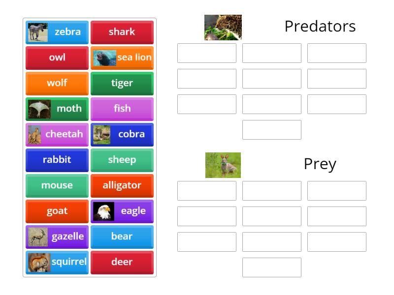 Predator or Prey - Group sort