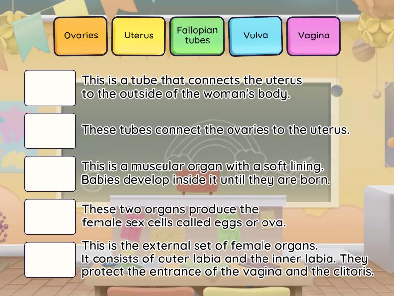 REPRODUCTIVE SYSTEM. Definitions - Une las parejas