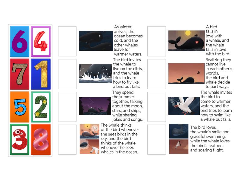 "The Bird and The Whale: Sequencing Their Love Story" - Match up
