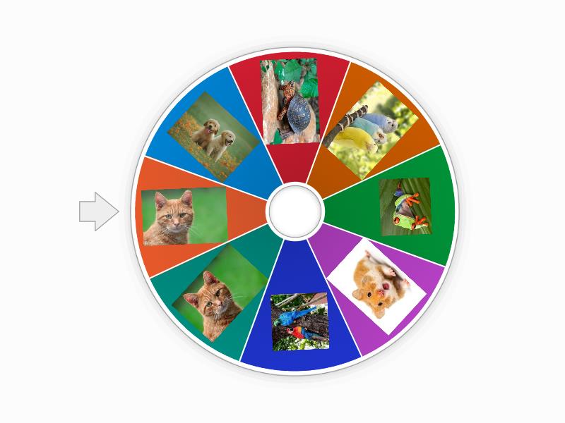 Spin wheel: Pets - Spin the wheel