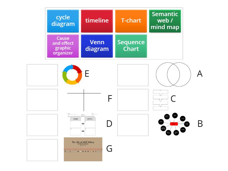 Kinds of Graphic organizers-matching - Match up