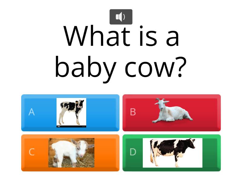 Farm Animal - Quiz