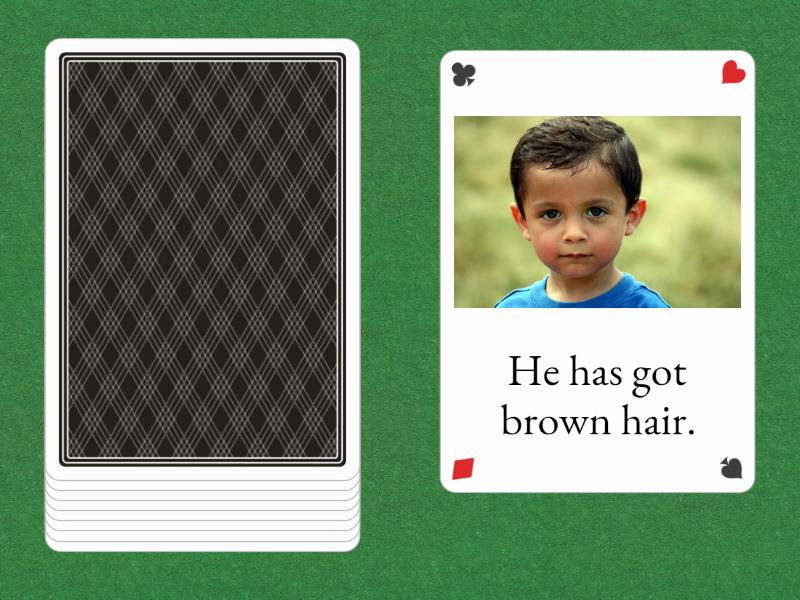 Has he/she got...? - Speaking cards