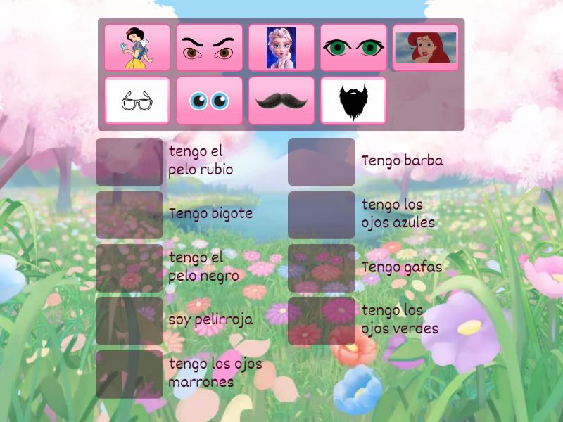 Primary- ojos y pelo - Match up