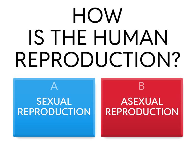 OF HUMAN REPRODUCTION - Quiz