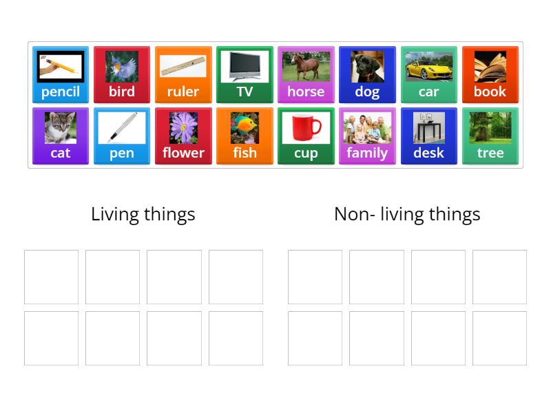 Living and non living things - Group sort