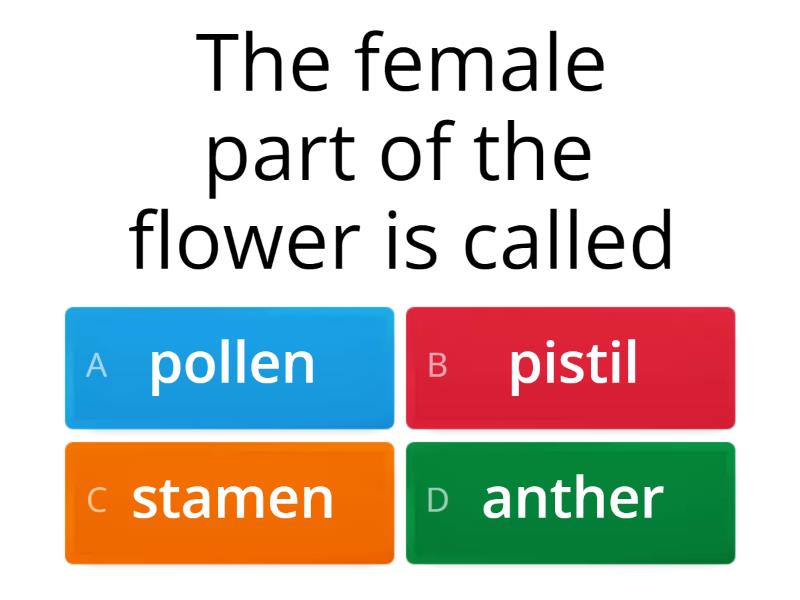 Pollination - Quiz
