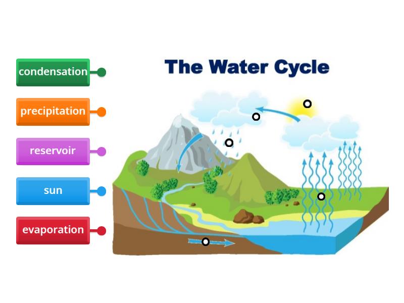 Water cycle PARTS - Labelled diagram
