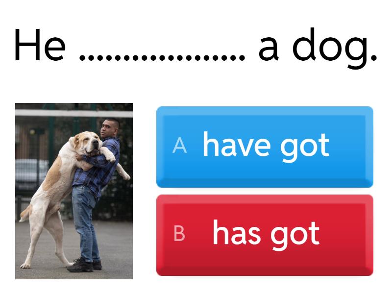 Have got/has got - positive - Quiz