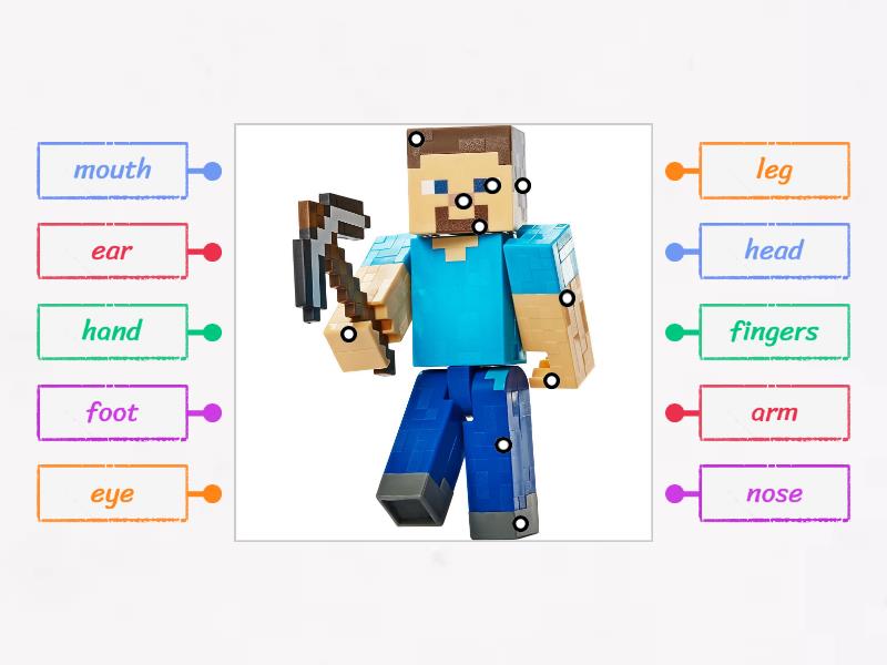 Minecraft Body parts - Labelled diagram
