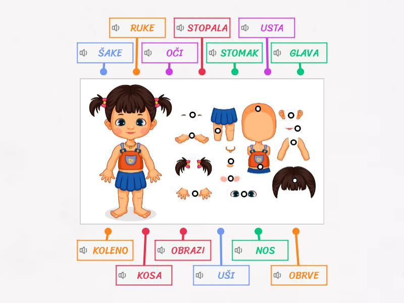 Delovi tela - Labelled diagram