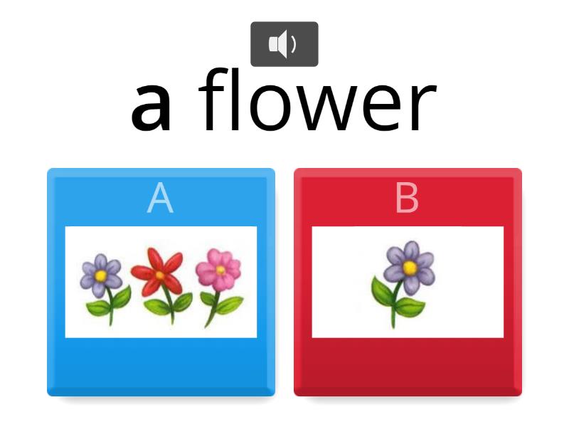 Let's Go grade 1 Unit 6 - Quiz