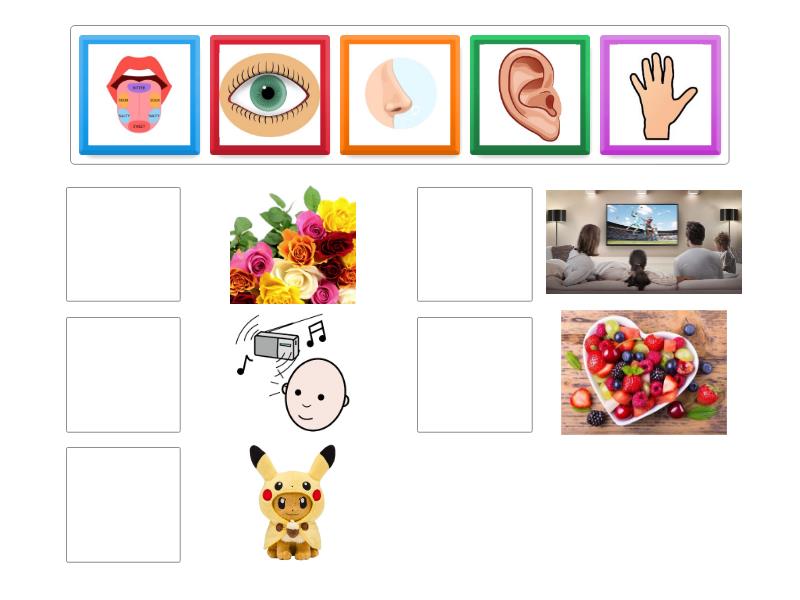 los 5 sentidos - Match up