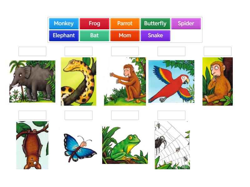 Monkey Puzzle Characters Gameshow Quiz - Match up