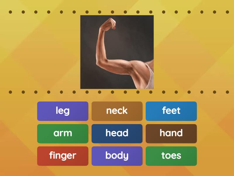 Go Getter 1 Unit 4 body parts - 查找匹配項