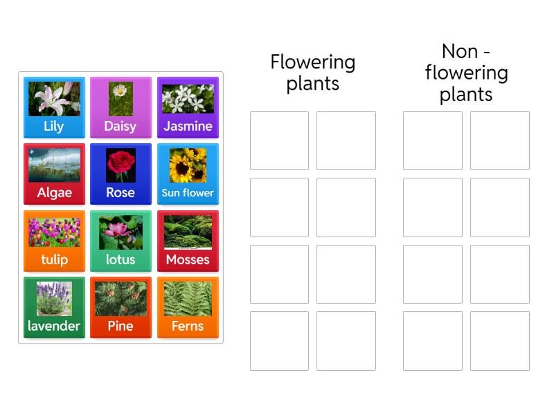 Flowering plant and non - flowering plant - Group sort
