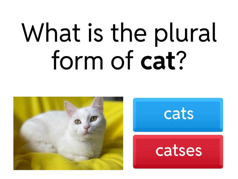 Singular and Plural Nouns! - Quiz