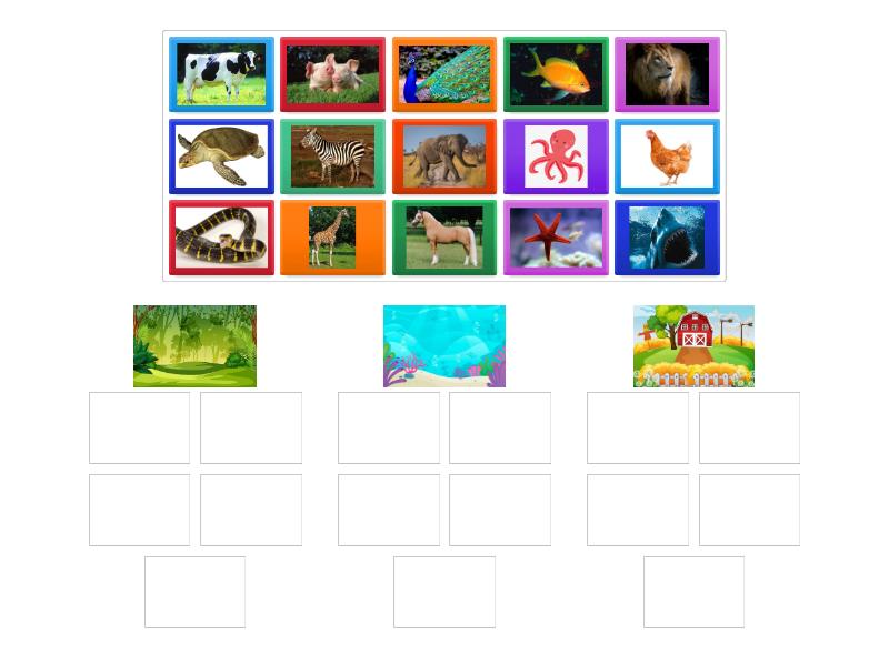 CLASIFICAR ANIMALES SEGÚN HABITAT - Group sort