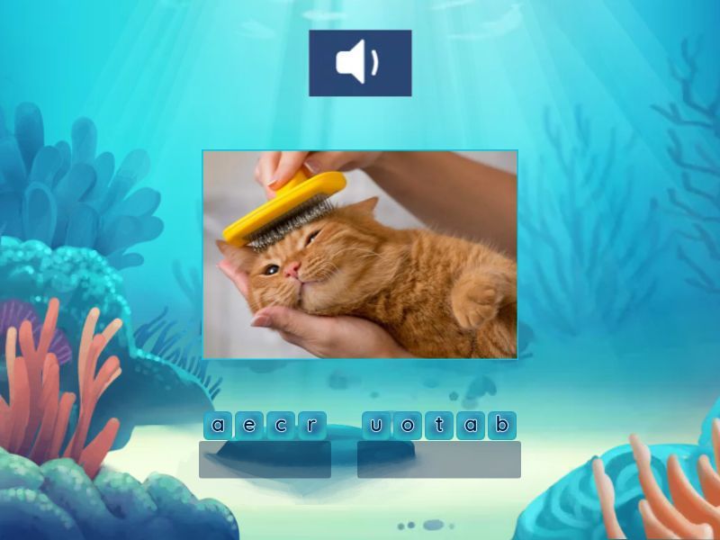 Focus 2_Unit 1.4_Task 2 - Anagram