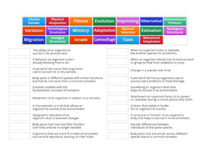 Biology: Evolution & Natural Selection Vocabulary Practice Matching ...