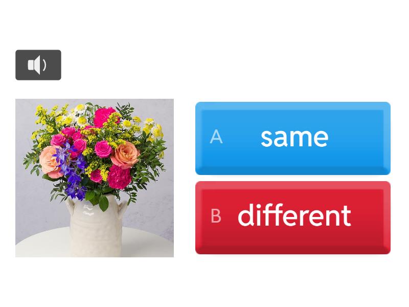 Do they have the same beginning sound? - Quiz