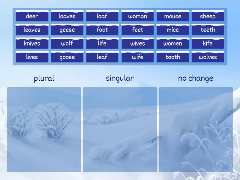 Sort 8 Unusual Plurals - Group sort