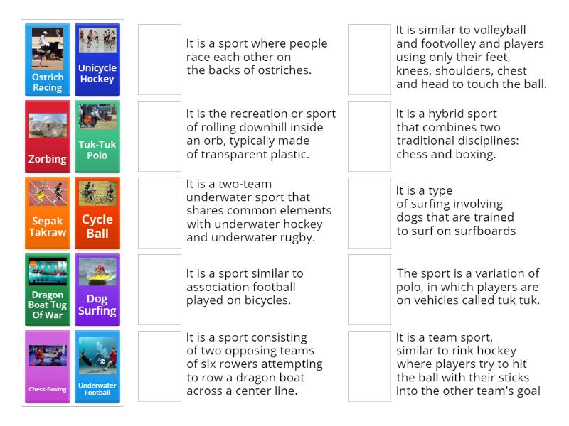 10 Most Unusual Sports From Around The World - Match up