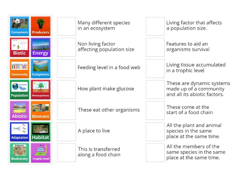 Ecology key words - Match up