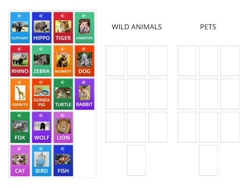 PETS OR WILD ANIMALS - Group sort