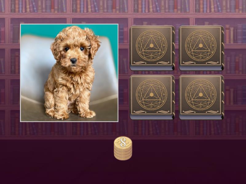 UFLI 76 Ending Patterns Review - Win or lose quiz