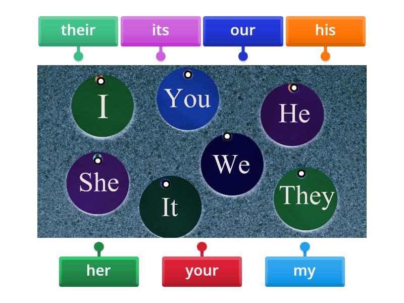 Possessive pronouns A1 - Labelled diagram