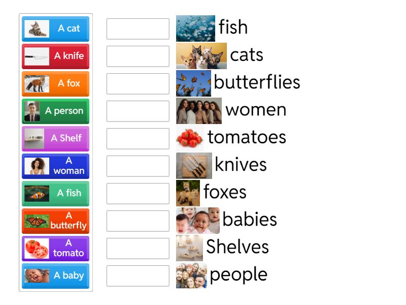 Plural nouns - Match up