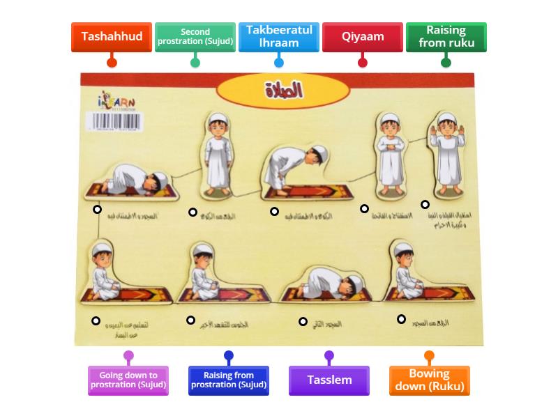 Steps of Salah - Labelled diagram
