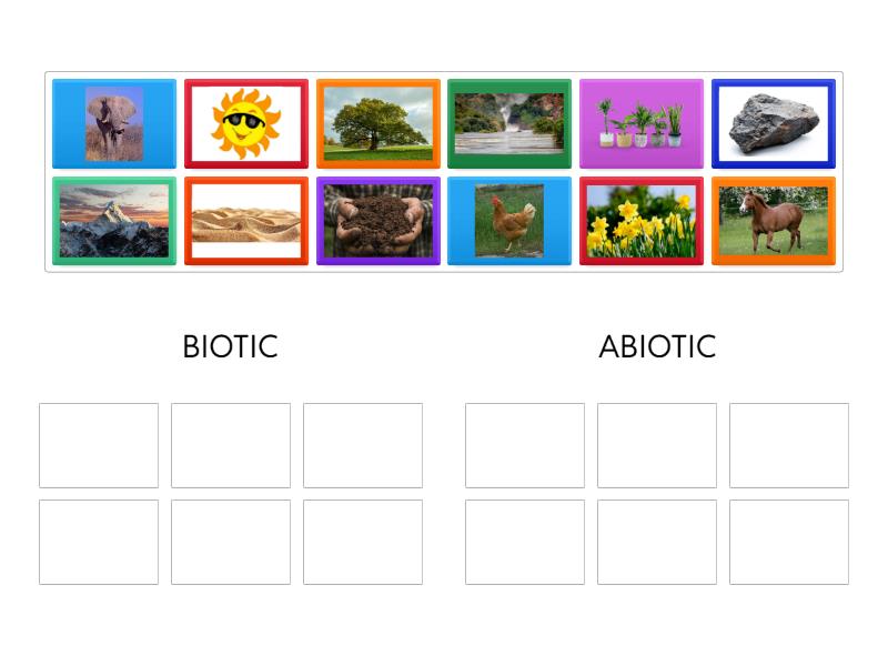 Biotic - Abiotic - Group sort