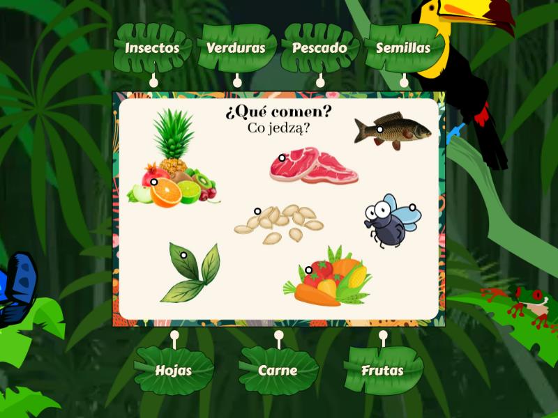 ¿Qué comen los animales salvajes? - Labelled diagram