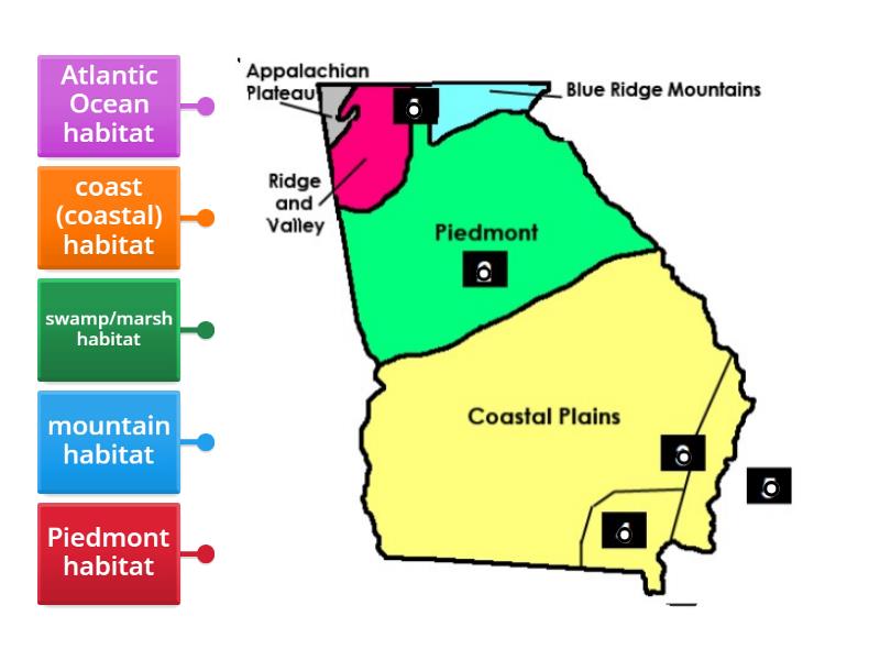 Georgia's Habitats - Labelled diagram