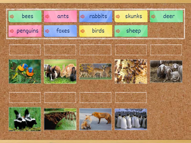 WBASIC 1 UNIT11_ Animal Homes [Vocabulary] - Match up