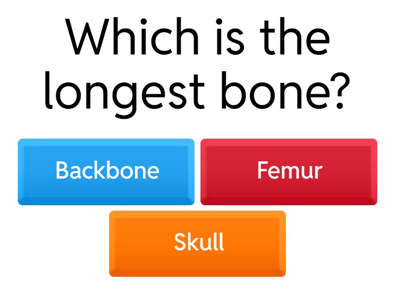 Skeletal and muscular system - Quiz