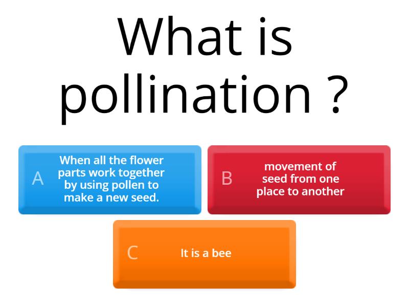 Pollination for grade 2 - Quiz