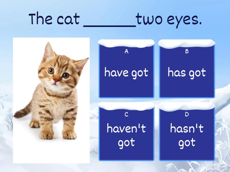 Have got/has got + negative - Quiz