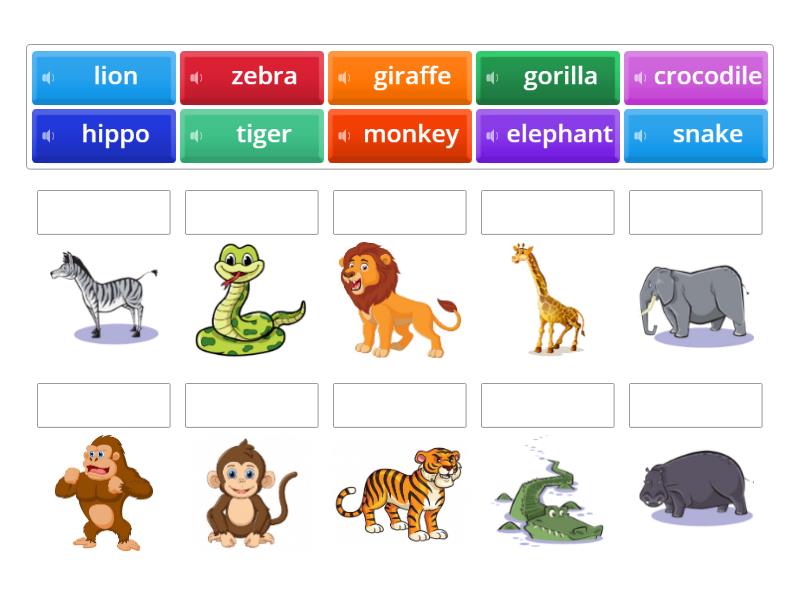 Wild animals - Match up