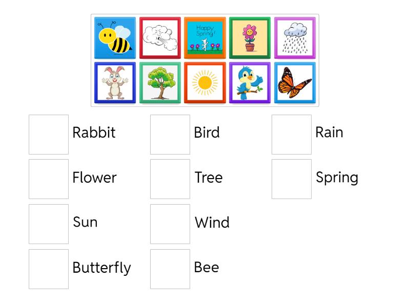 Spring vocabulary - Match up