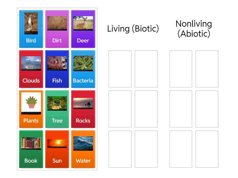 Biotic vs. Abiotic Factors - Group sort