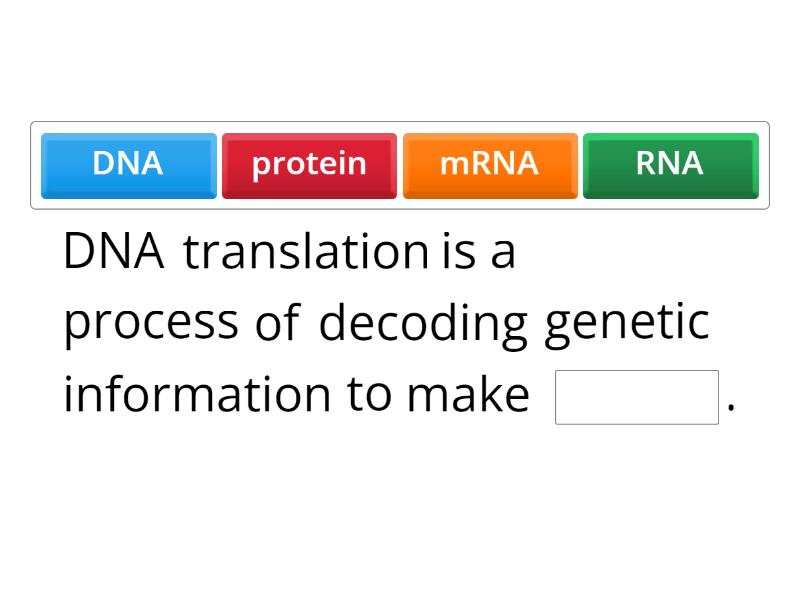 DNA Translation - Complete the sentence
