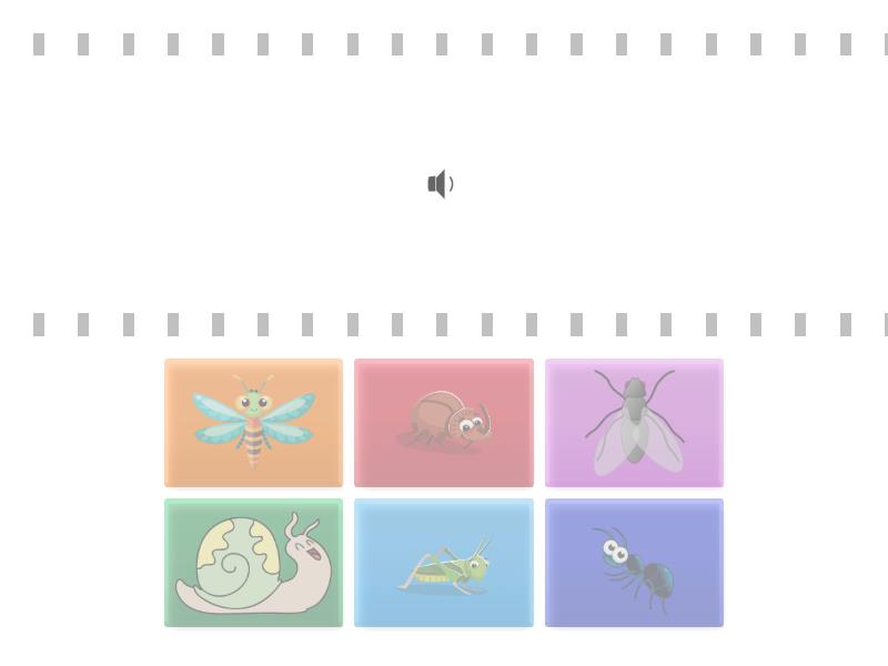 Bugs and insects. Set 2. Find and match. - Find the match