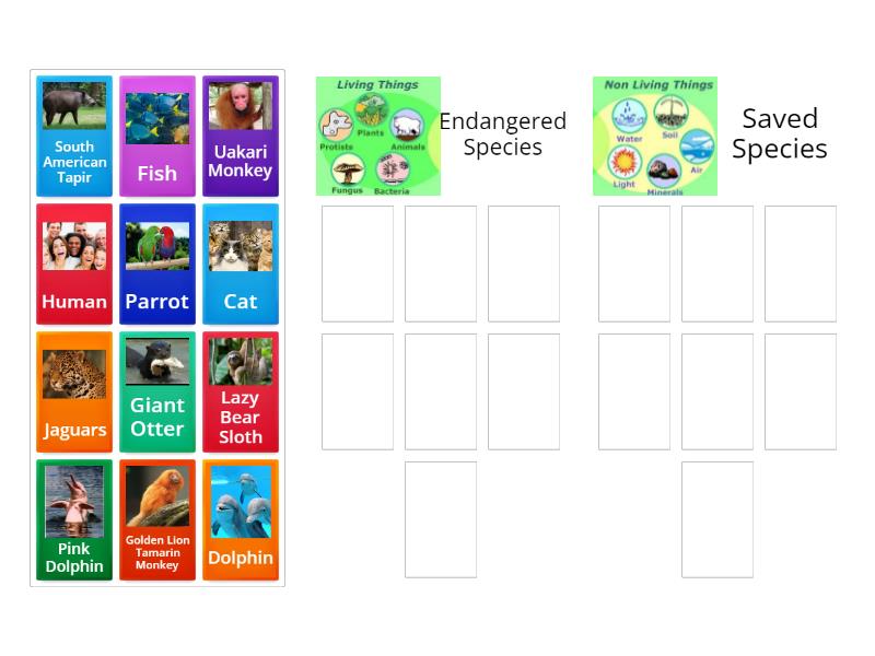 Endangered Species - Group sort