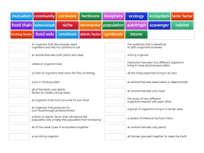 Ecology Vocabulary ! - Match up